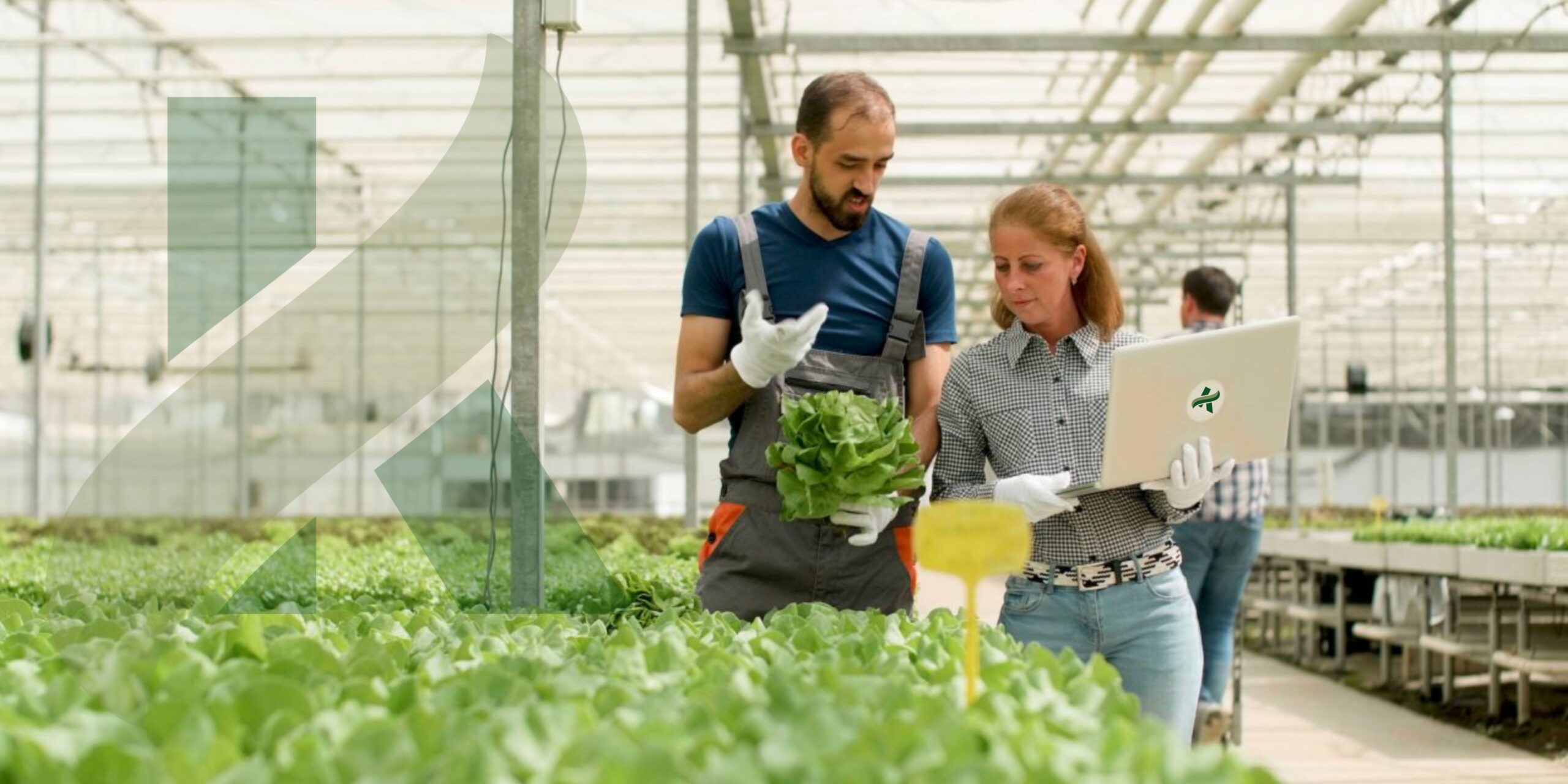 BLOG Semeando o Futuro - Potassium Fertlizantes